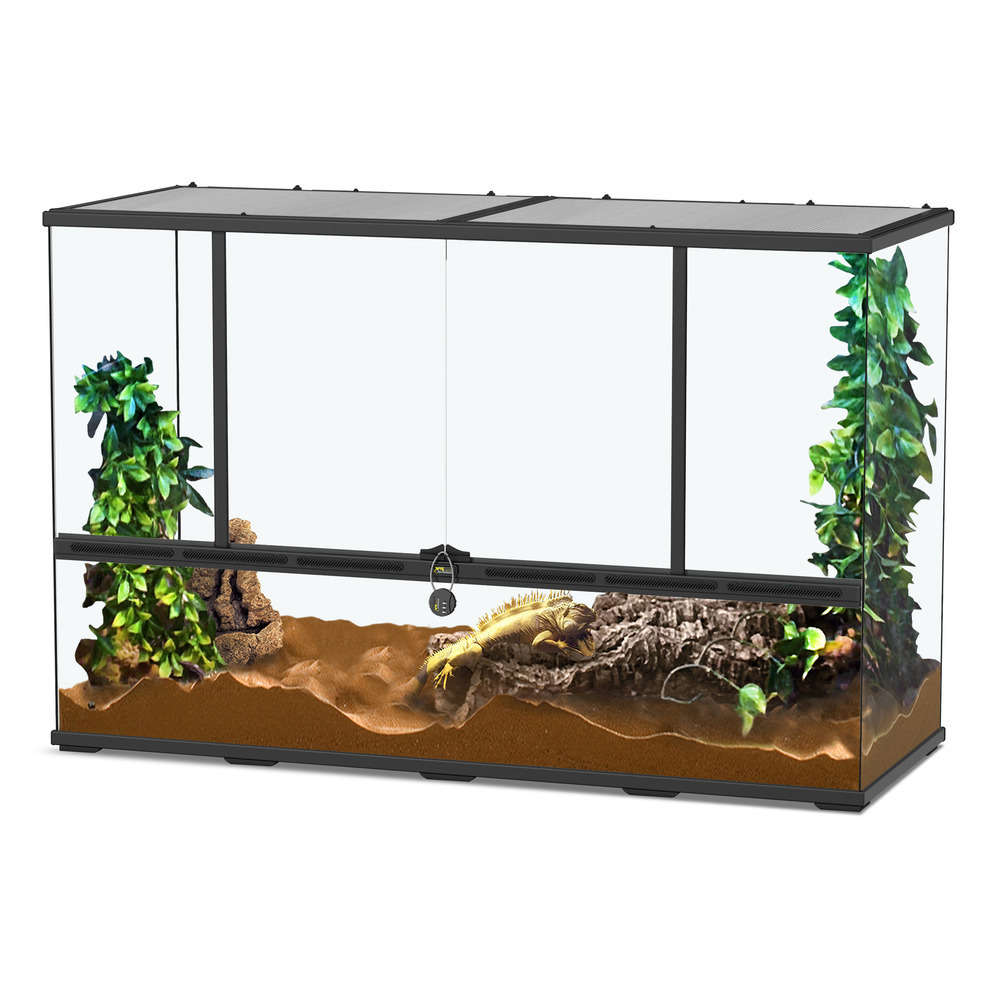 Terrariums pour reptiles, vivariums, accessoires | Truffaut