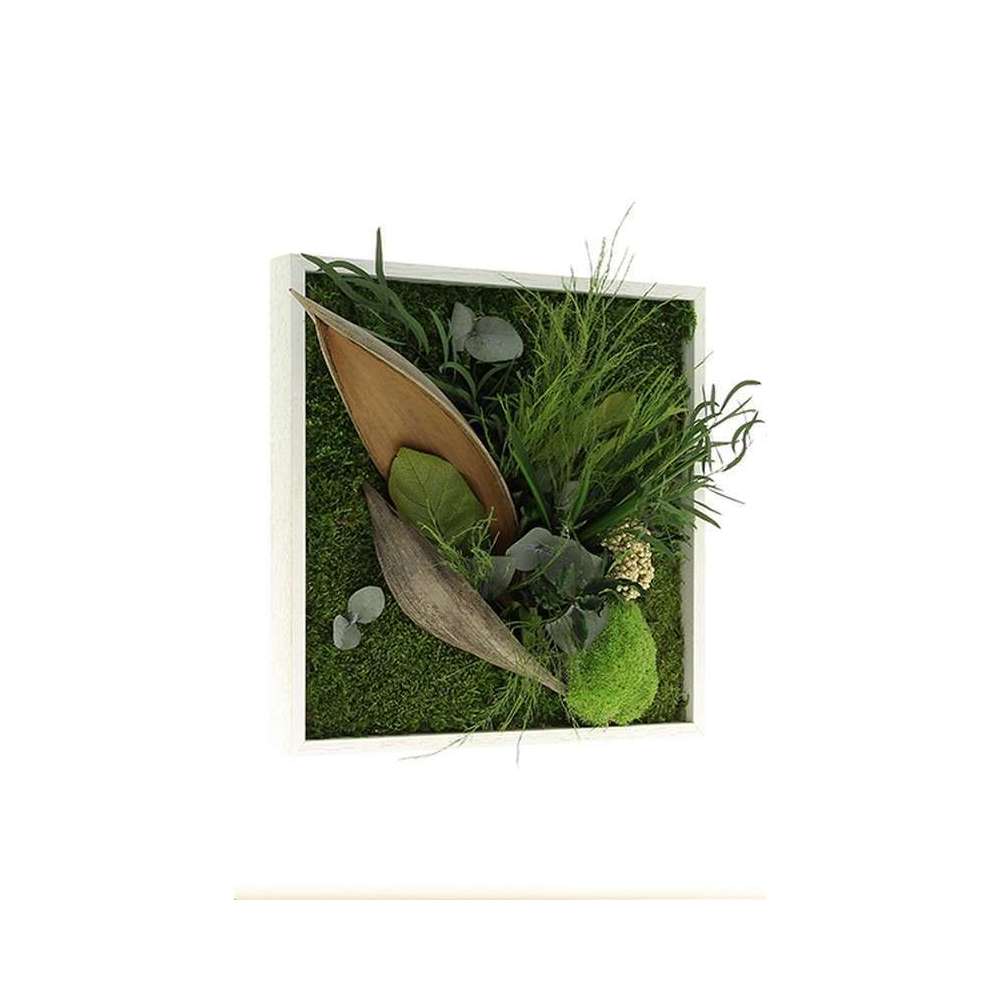 Tableau végétal stabilisé nature 35x35 cm | Truffaut