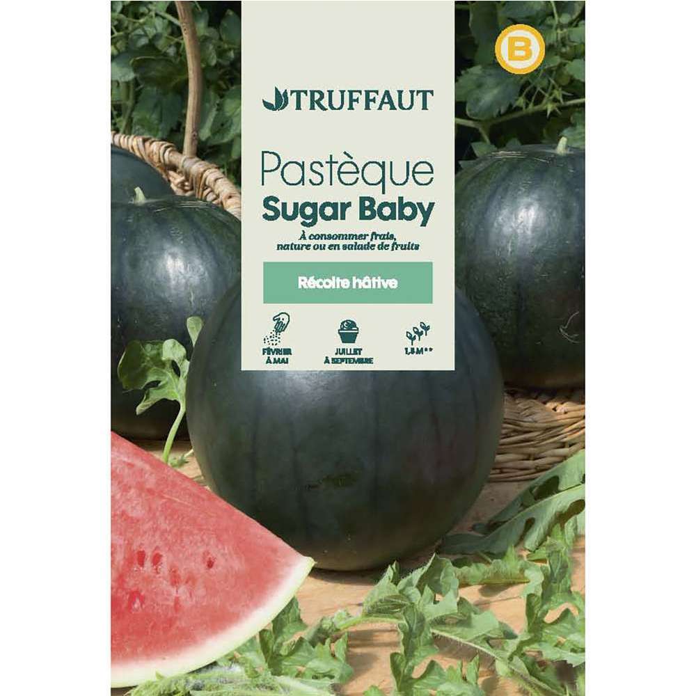 Pasteque Sugar Baby : En sachet | Truffaut