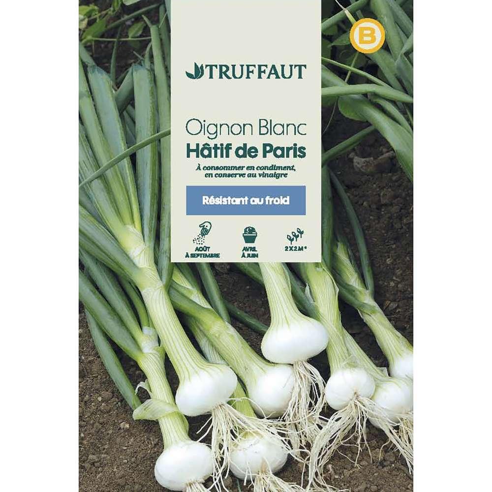 Graines d'oignons blanc hatif de Paris en sachet | Truffaut