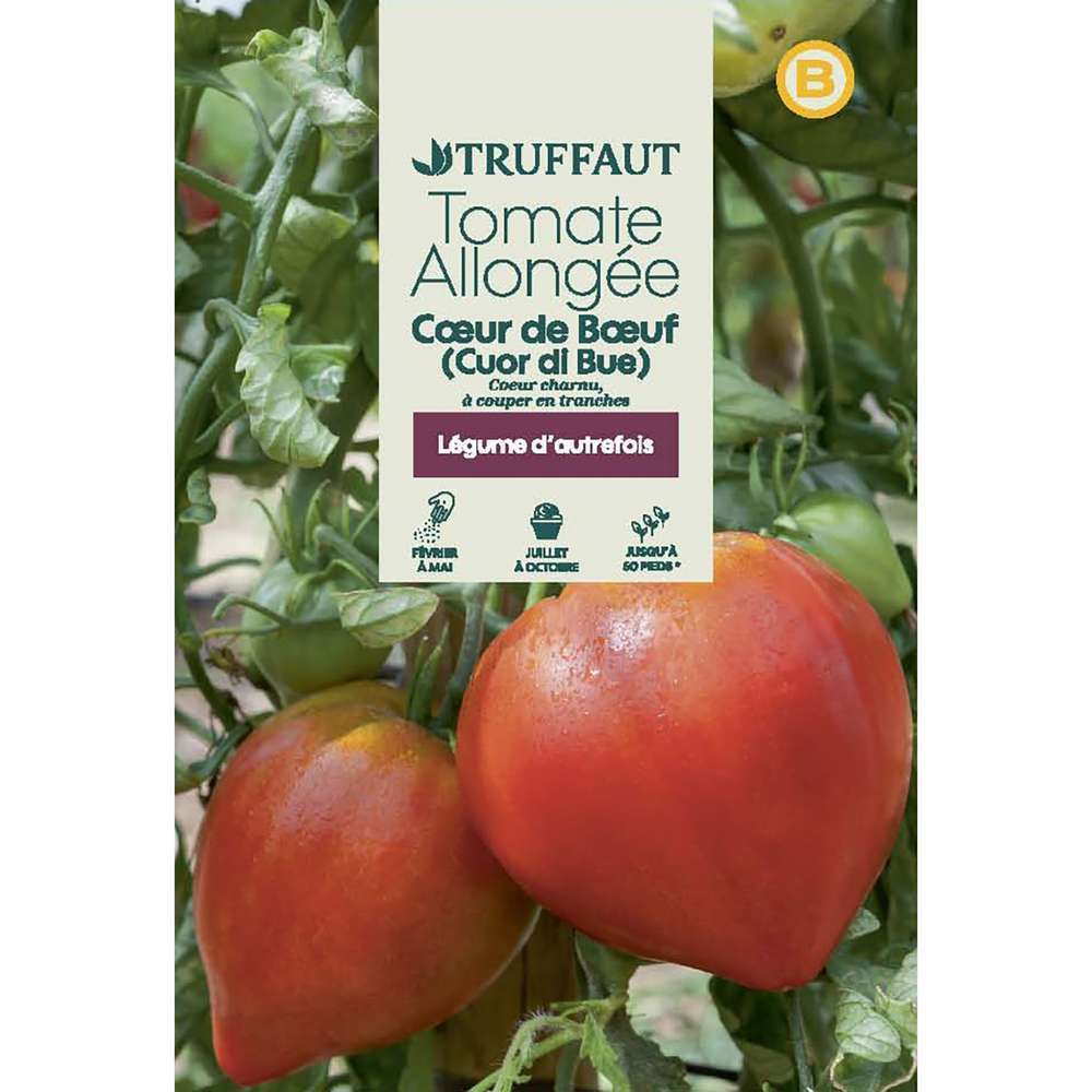 Graines de tomate cœur de bœuf corazon en sachet | Truffaut