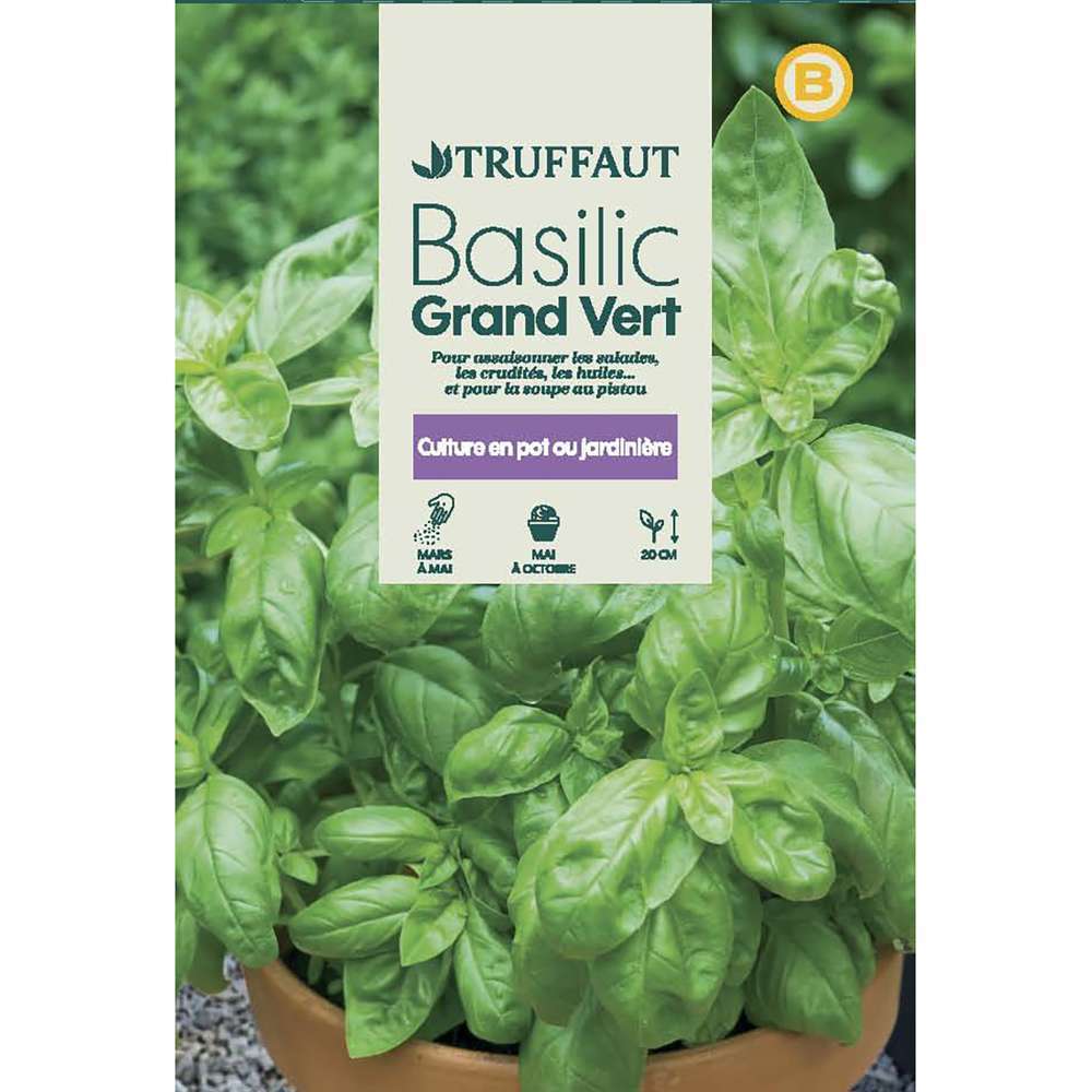 Graines de basilic grand'vert en sachet | Truffaut
