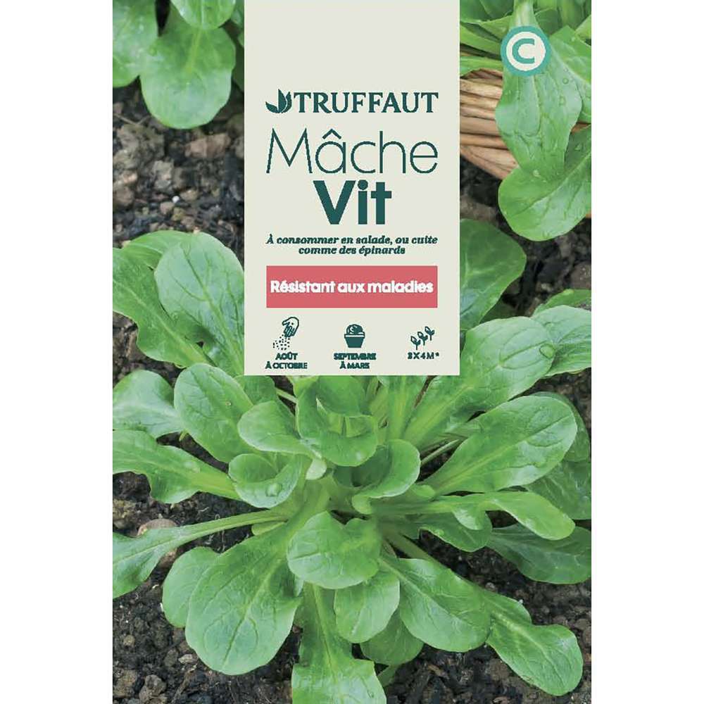 Graines de mâche Vit en sachet | Truffaut