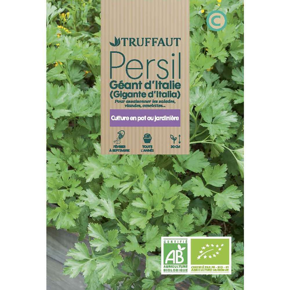 Graines de persil géant d'Italie Bio en sachet | Truffaut