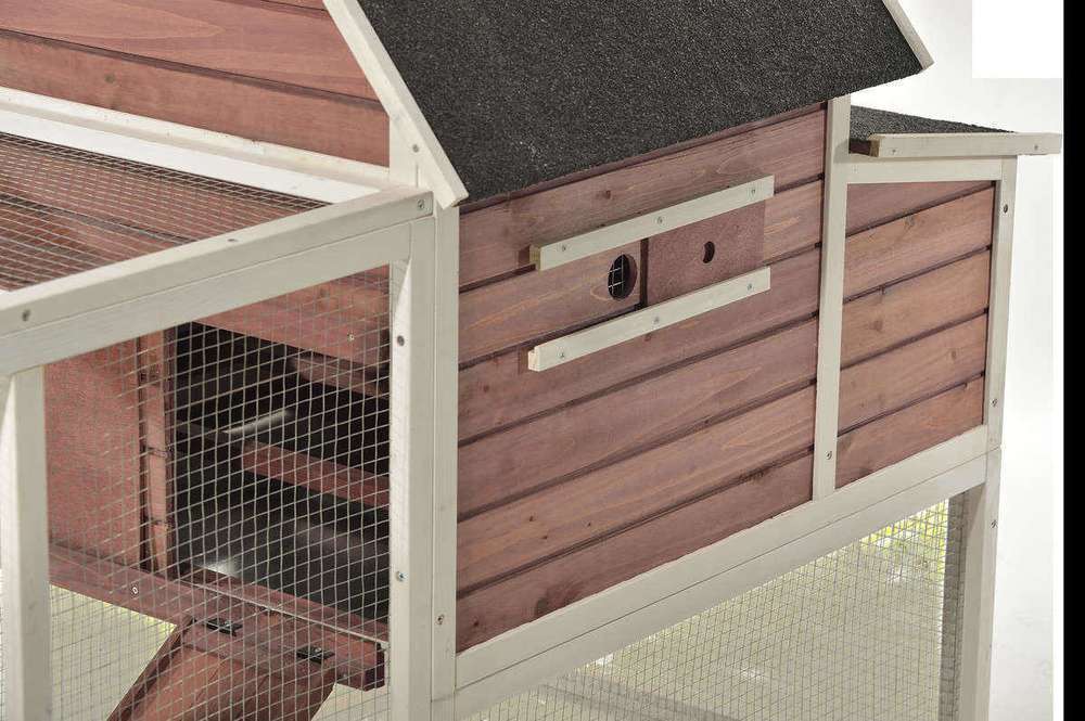 Poulailler - Animaux de la basse-cour | Truffaut