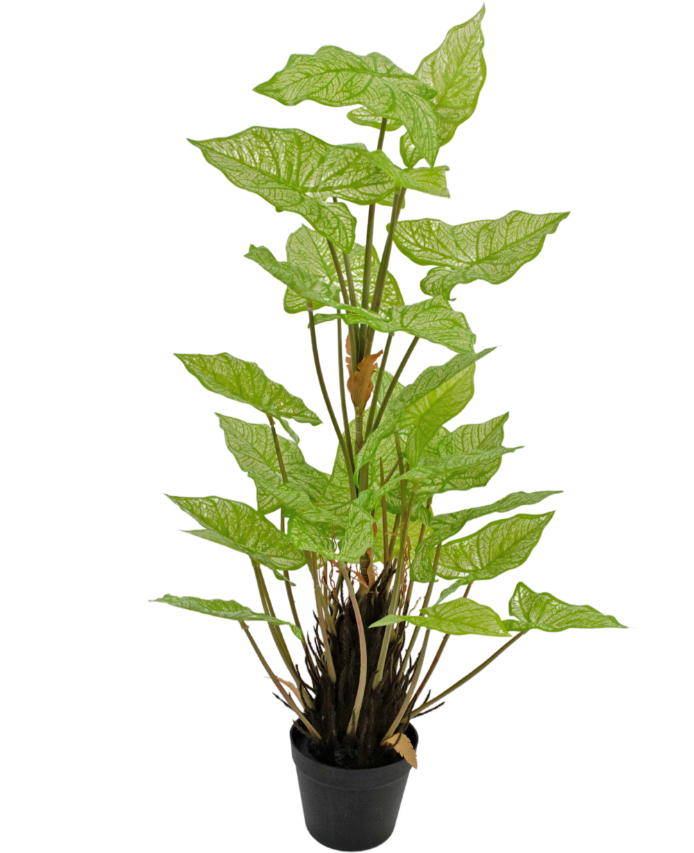 Plante artificielle trapa bispinosa 90 cm blanc | Truffaut