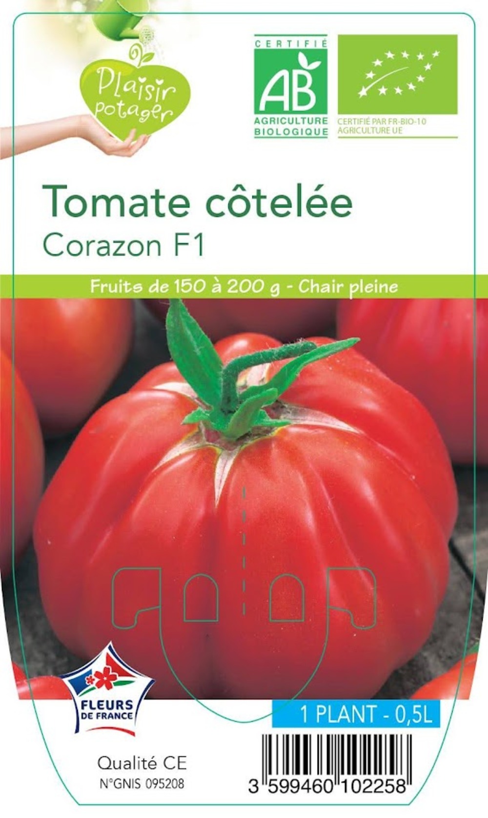 Tomate corazon f1 -plant ab en pot 0.5 l-plante du jardin | Truffaut