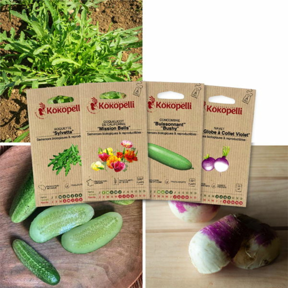 Mes semis de juin - 4 sachets de graines bio à semer | Truffaut