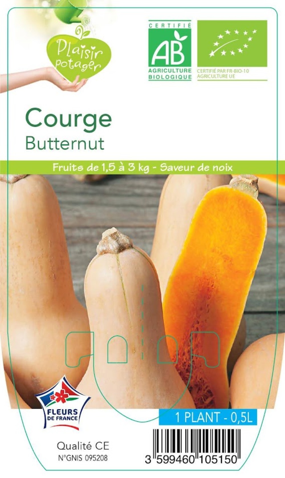 Courge butternut -plant ab en pot 0.5 l- plante du jardin | Truffaut