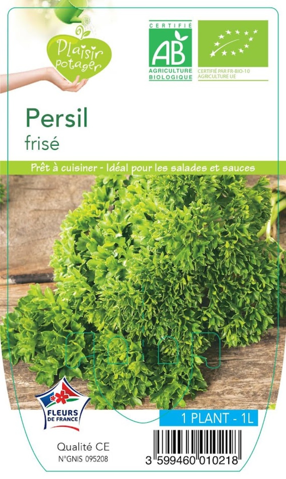 Persil à feuilles frisées plante ab pot 1l - plant d'aromatique du ...