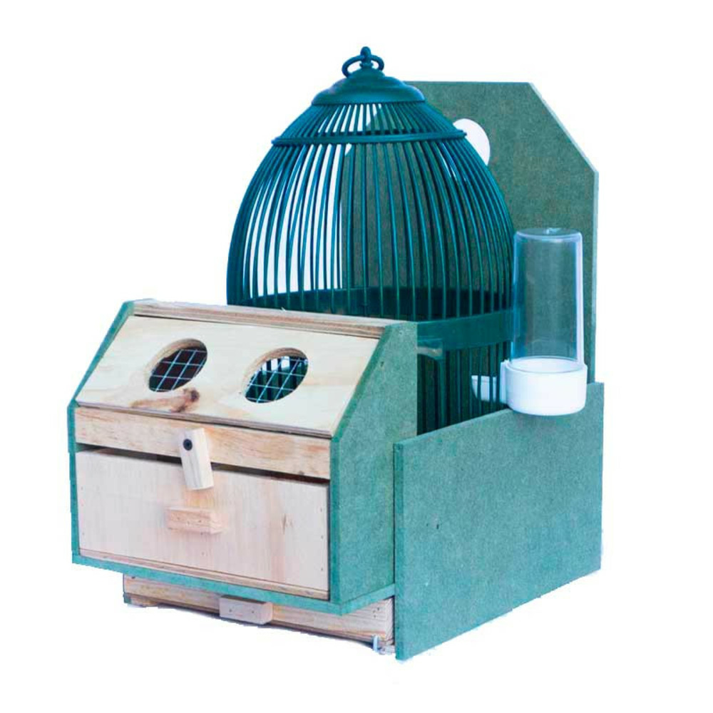 Pack cage pour perdrix mâle | Truffaut