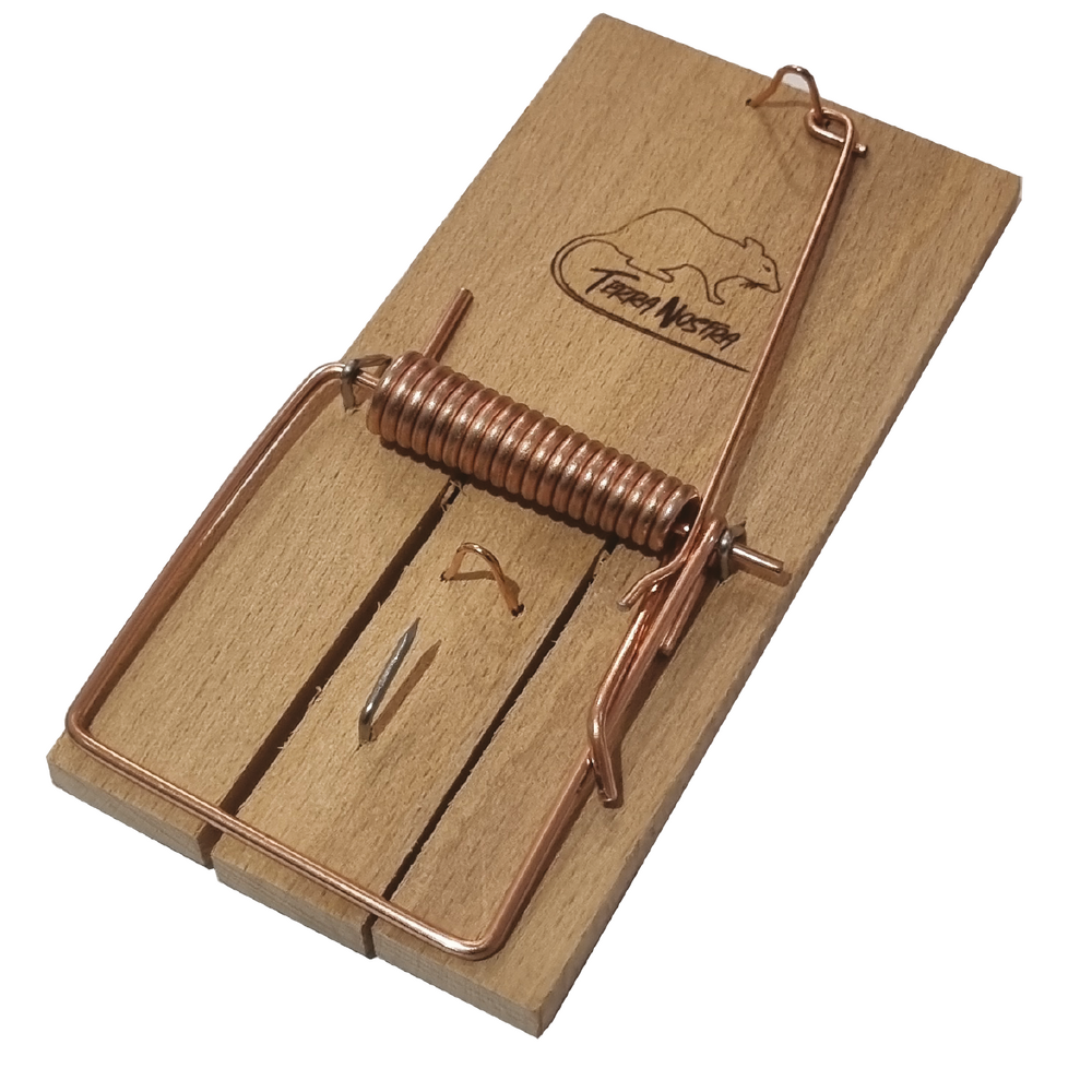 Grande tapette bois rat - x2 unités | Truffaut