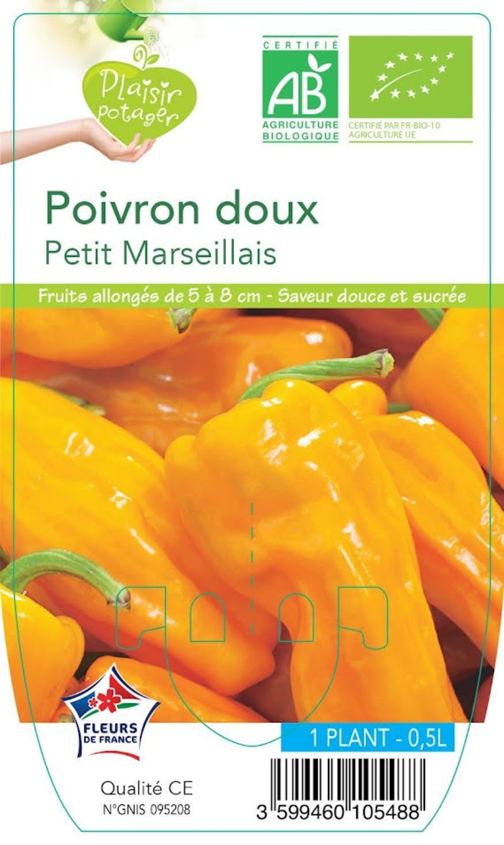 Poivron petit marseillais -plant ab en pot 0.5 l- plante du jardin ...