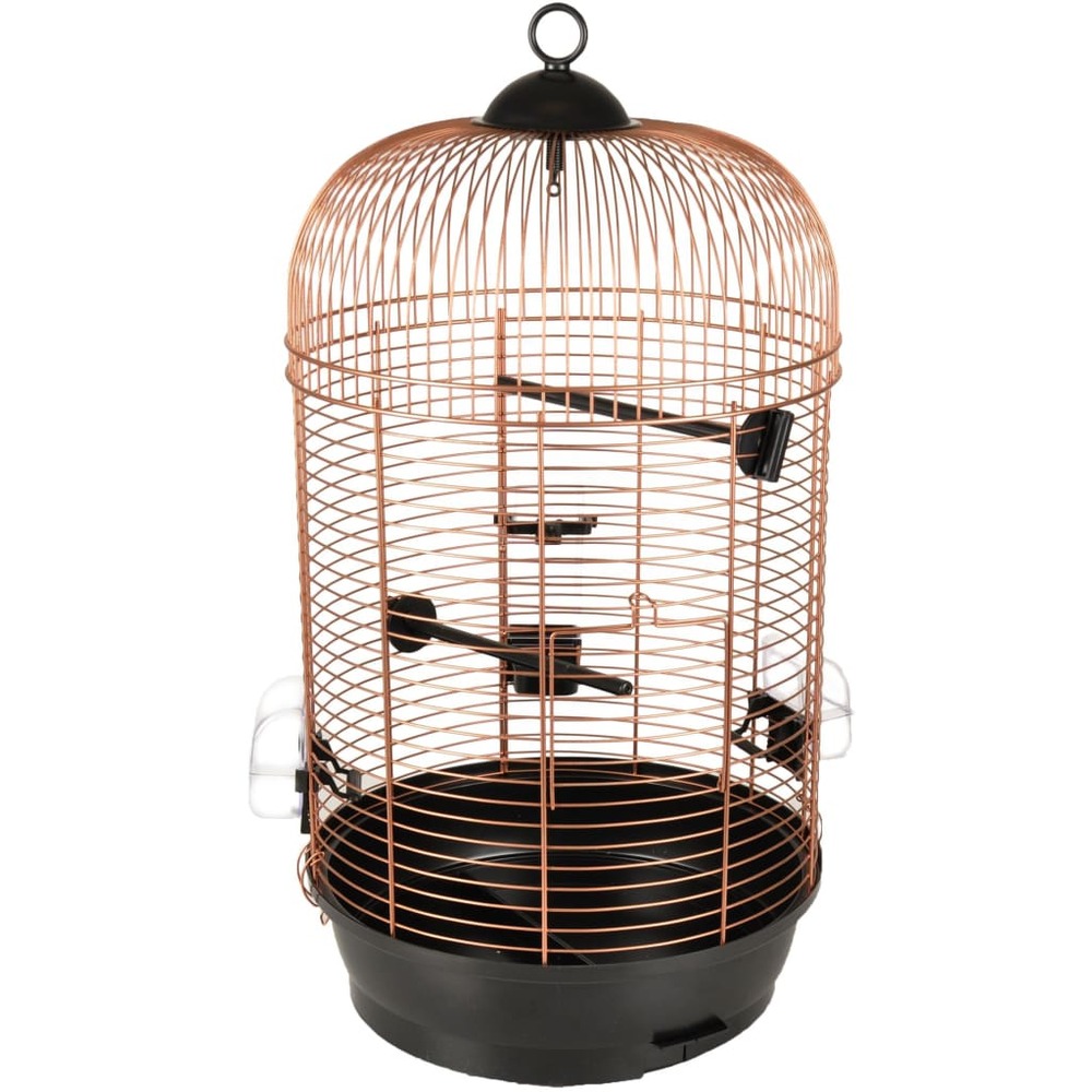 Cage Oiseaux Truffaut