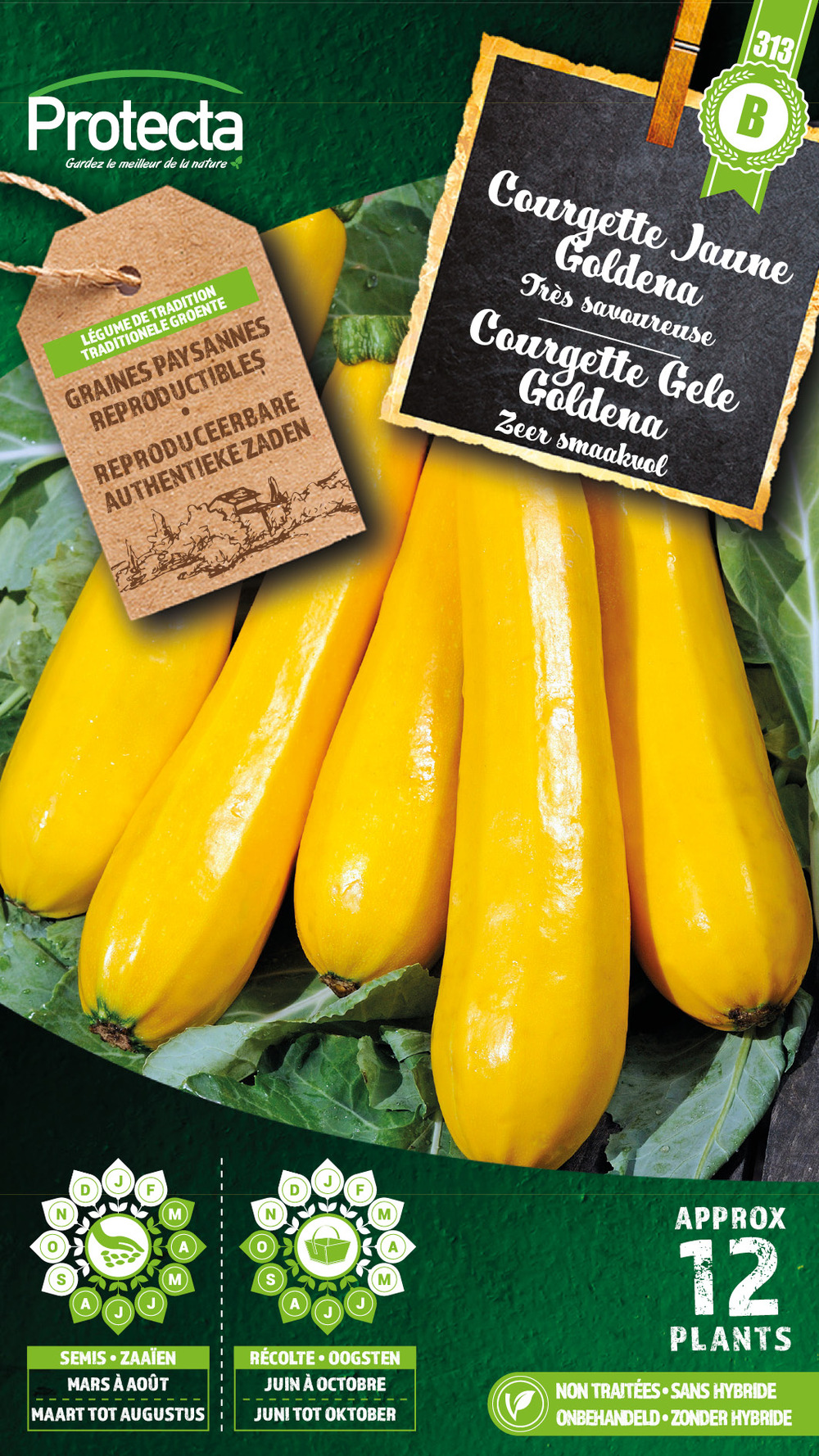 Courgette jaune goldena – protecta graines paysanne - ca. 2 gr ...