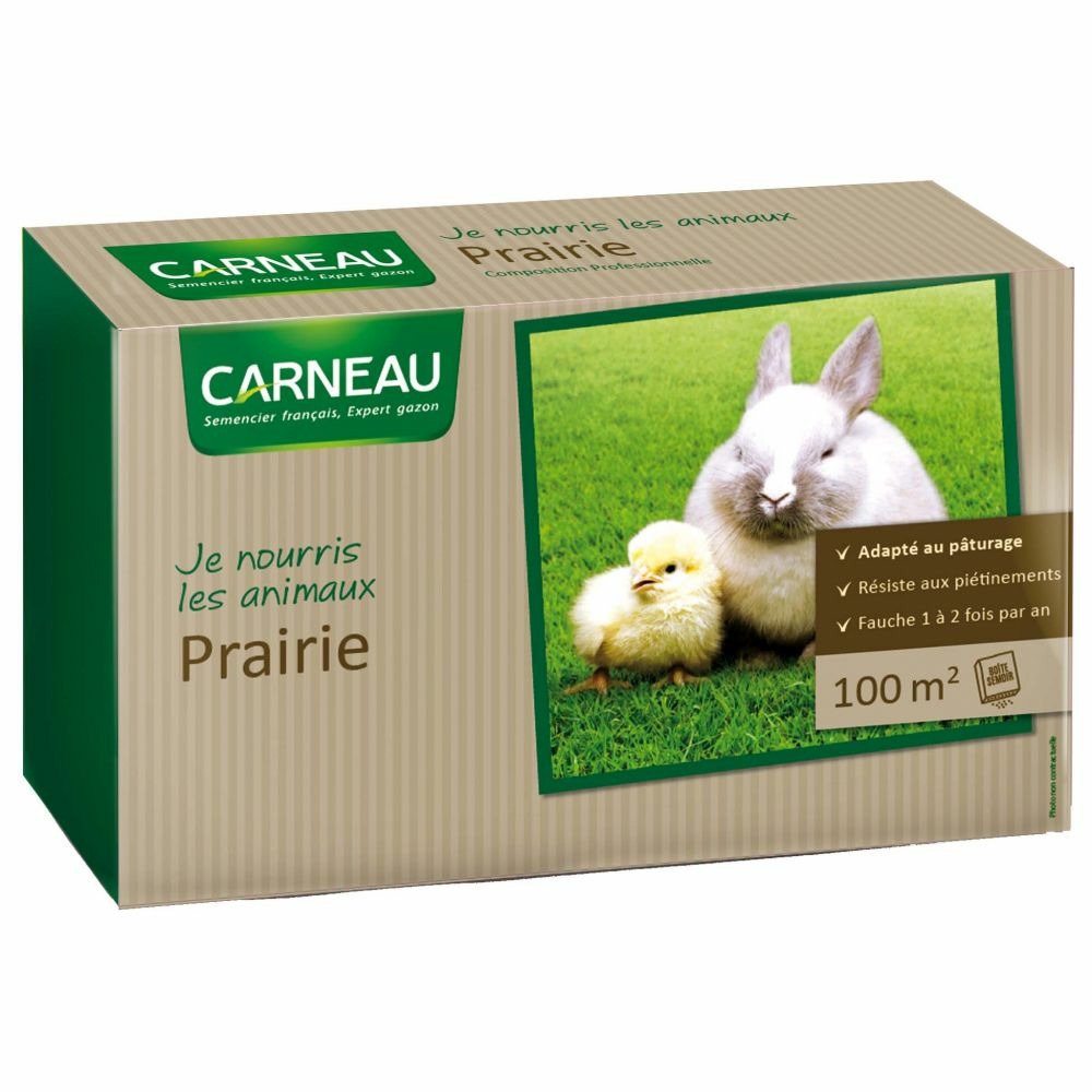 Semence spéciale prairie 100 m² | Truffaut
