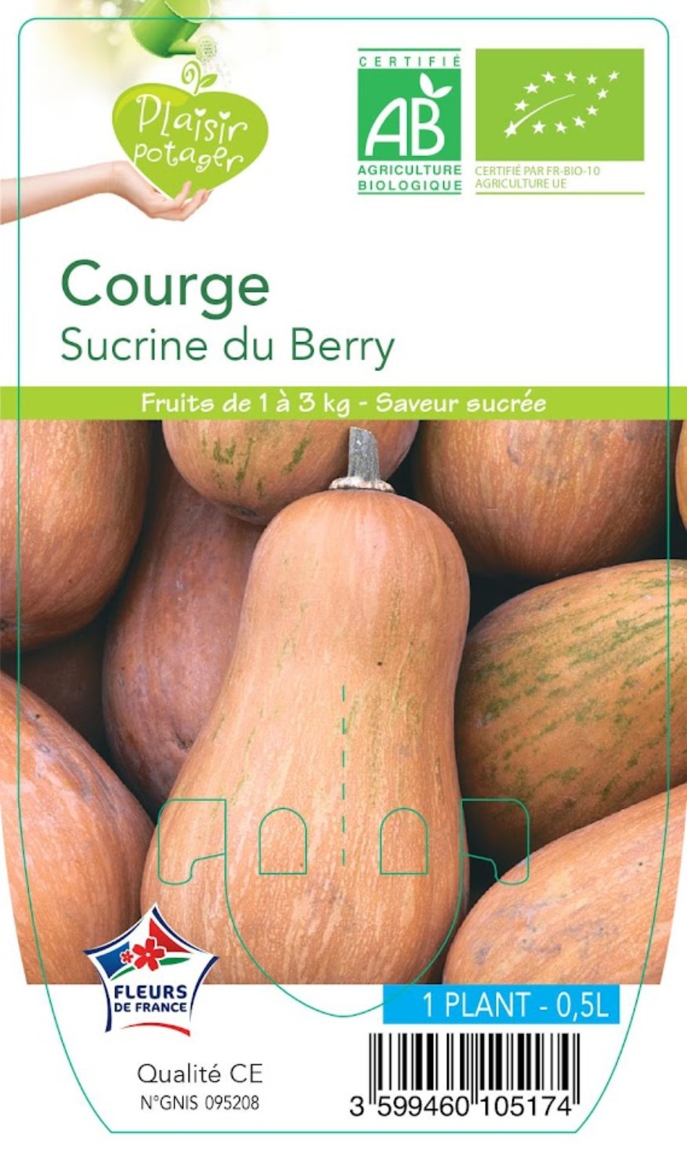 Courge sucrine du berry -plant ab en pot 0.5 l- plante du jardin | Truffaut
