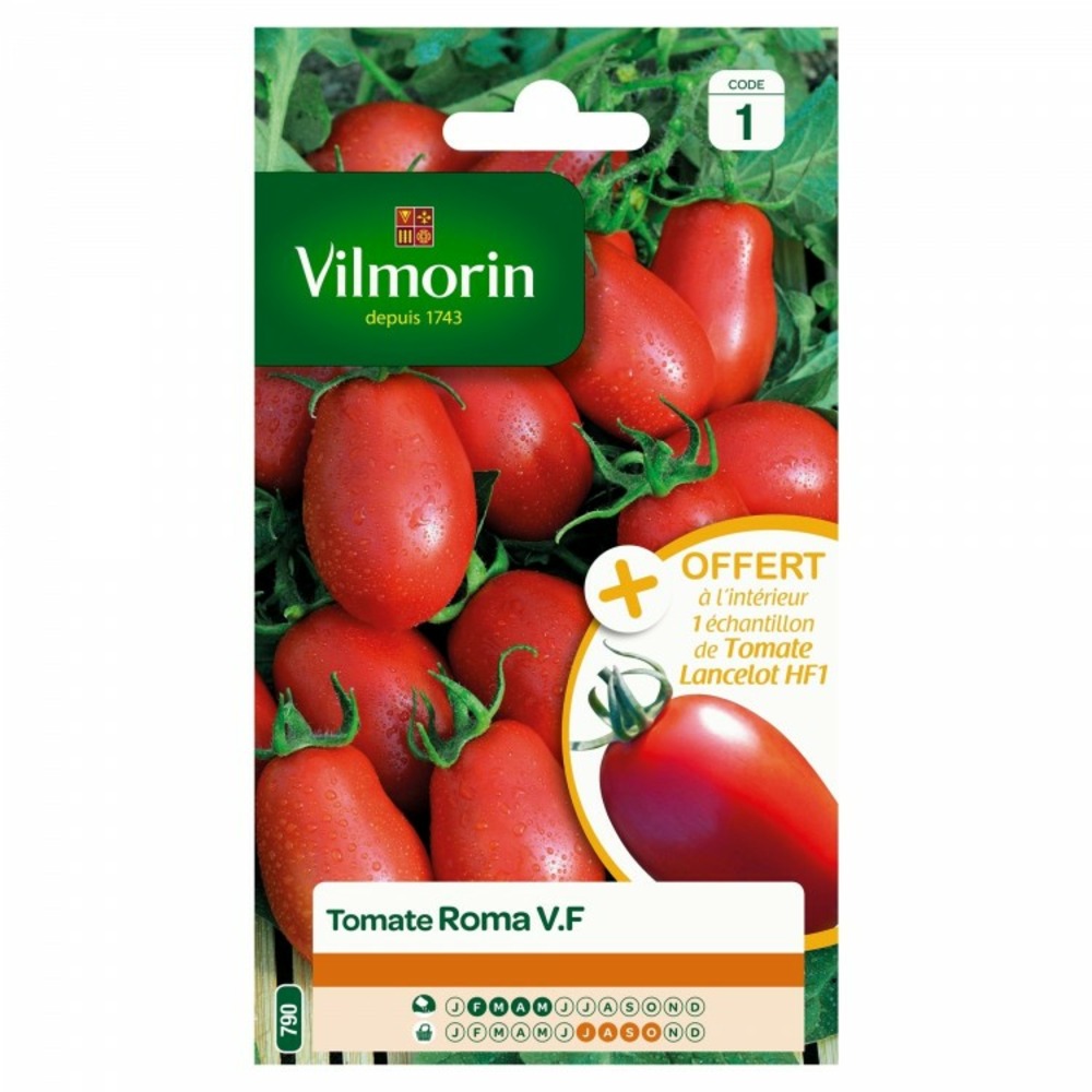 Sachet graines tomate roma vf | Truffaut