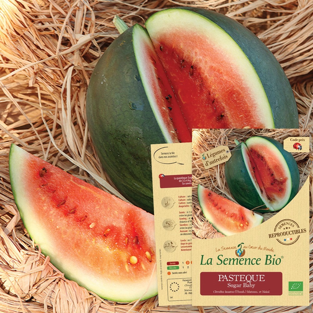 Pasteque sugar baby bio | Truffaut