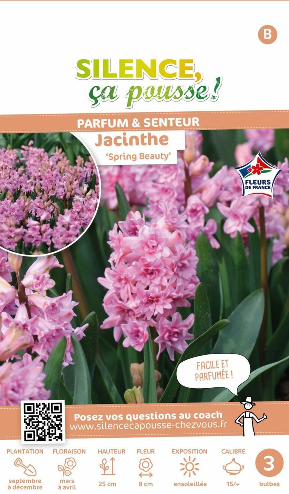 Jacinthe spring beauty fleurs de france 15/+ x3 bulbes | Truffaut