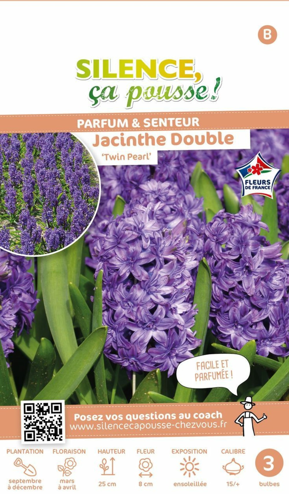 Jacinthe double twin pearl fleurs de france 15/+ x3 bulbes | Truffaut