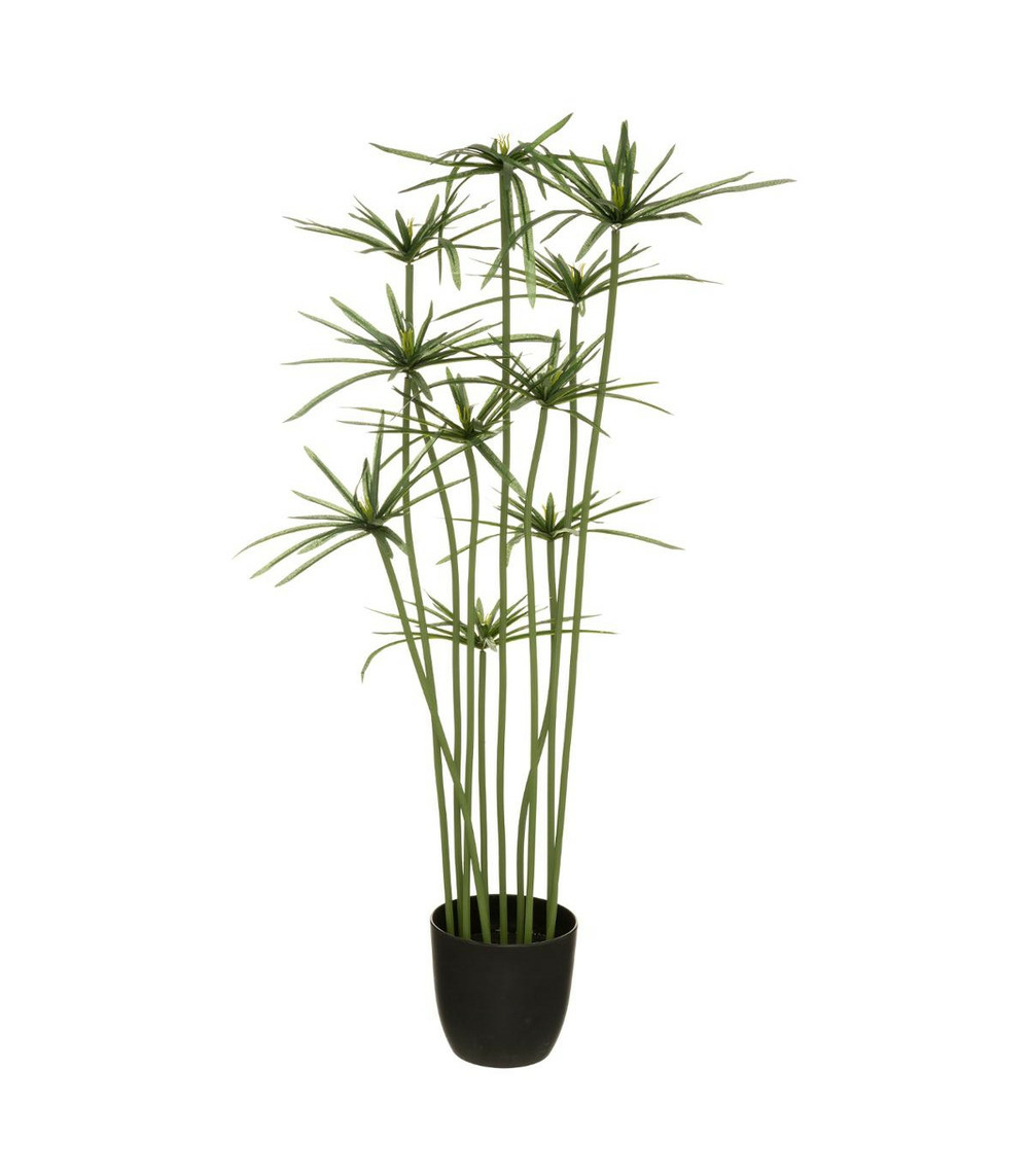 Plante artificielle papyrus en pot h 115 cm | Truffaut