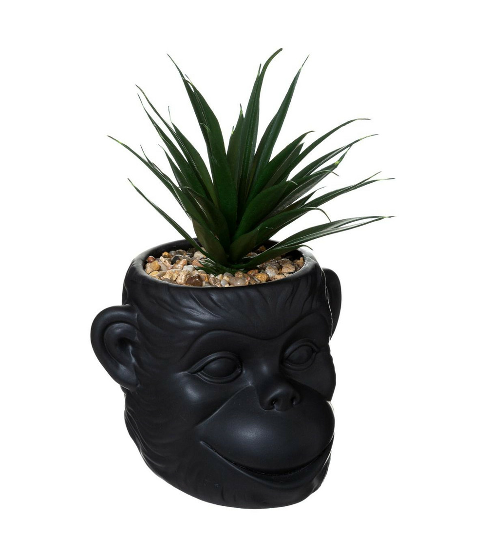 Plante artificielle pot en céramique noir monkey cuba h 21 cm | Truffaut