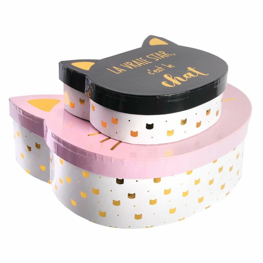 Boites de rangement chat (lot de 2) | Truffaut