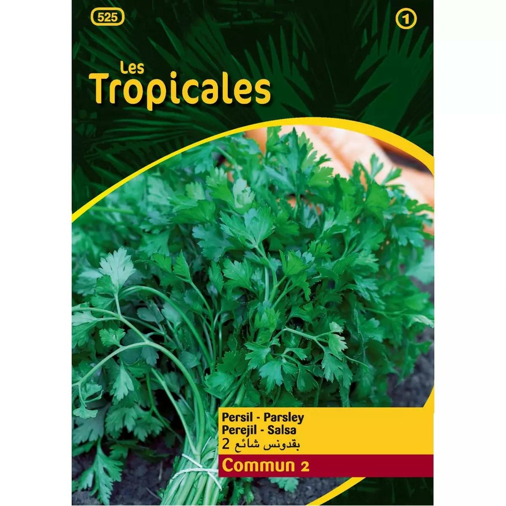 Sachet graines les tropicales - persil commun 2 | Truffaut