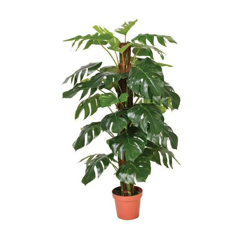 Truffaut Plante Verte