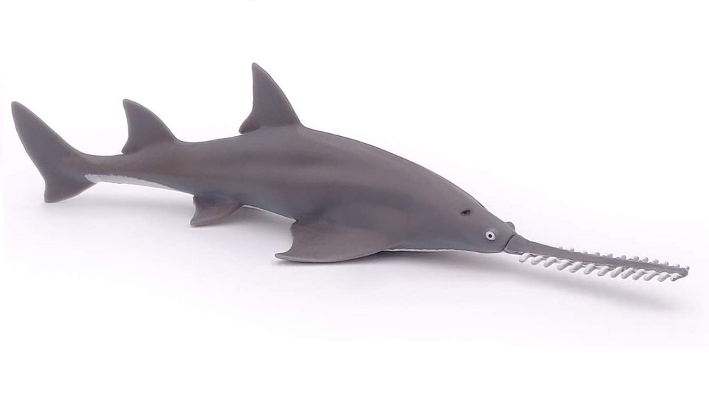 Poisson scie Papo | Truffaut