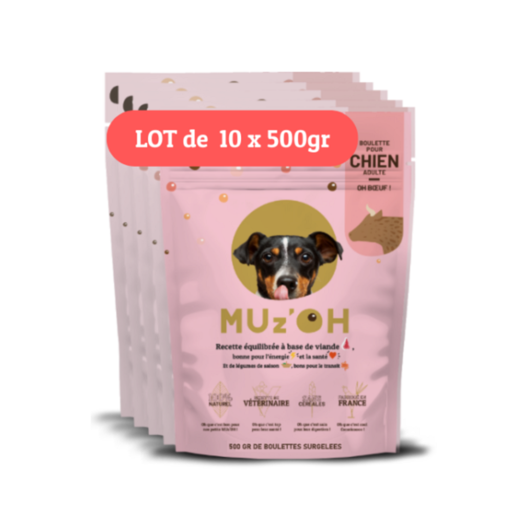 Lot de 10 sachets pour chien oh boeuf - 500g | Truffaut