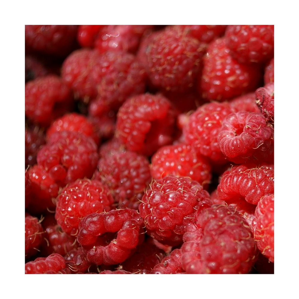 Framboisier idaeus heritage/rubus idaeus heritage[-]pot de 5l | Truffaut