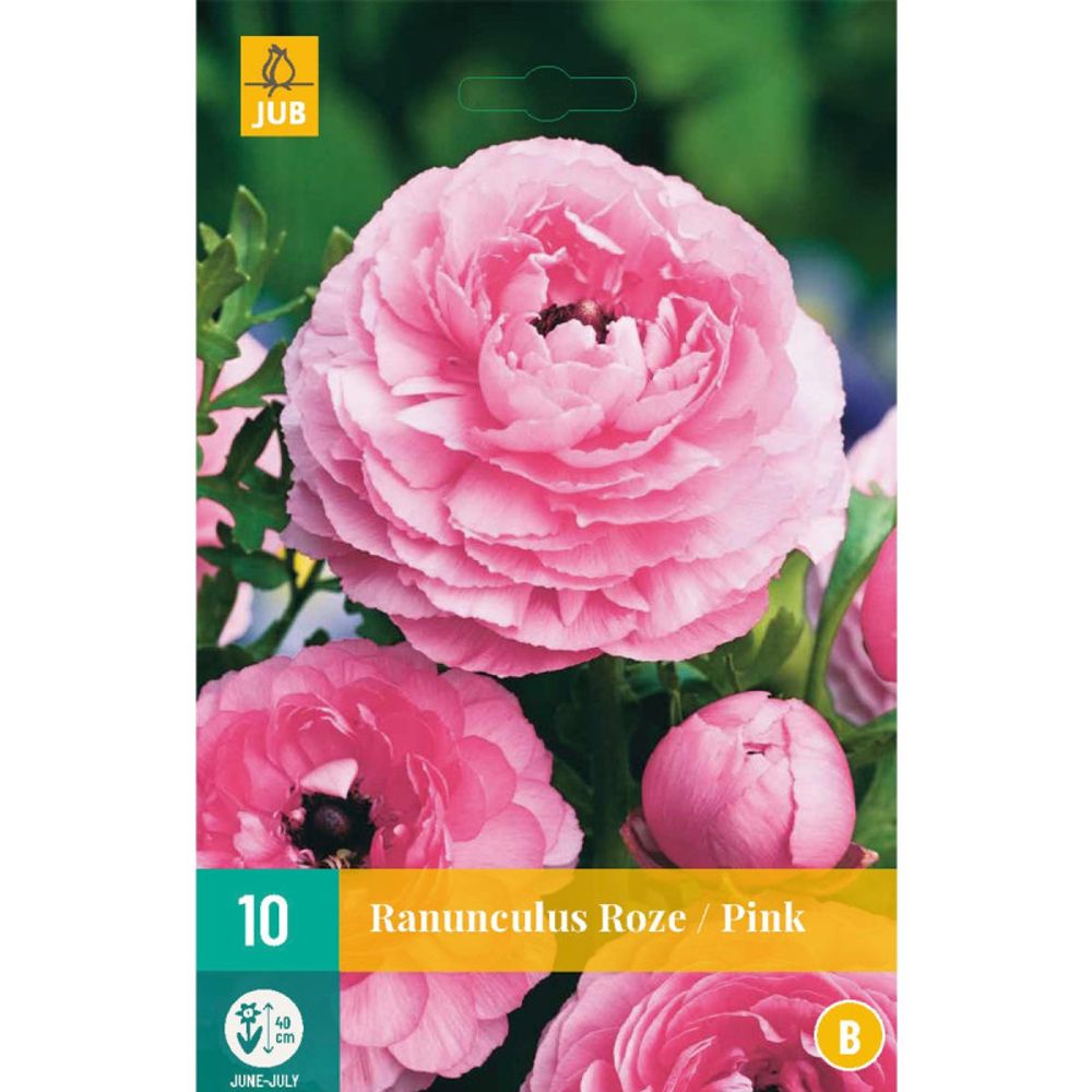 10 renoncules roses | Truffaut