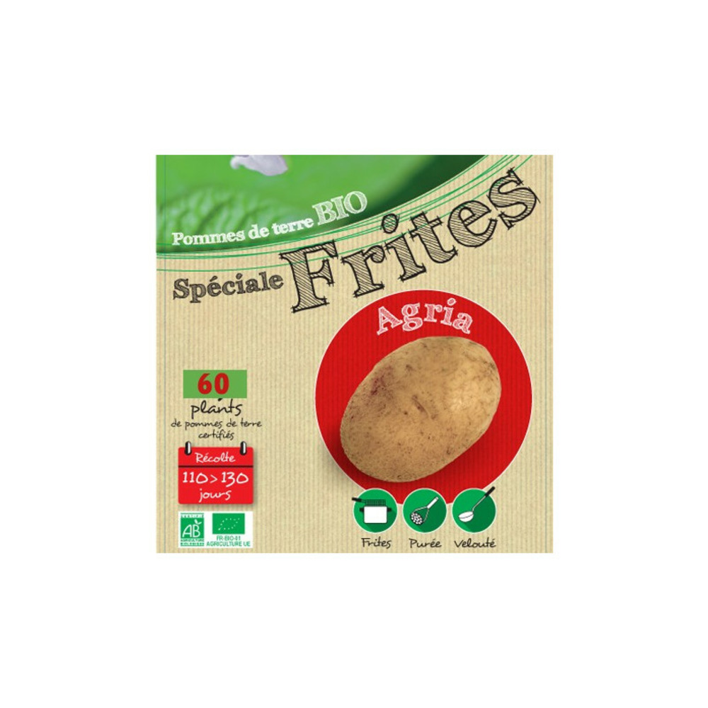 Agria biologique 60 plants de pomme de terre | Truffaut