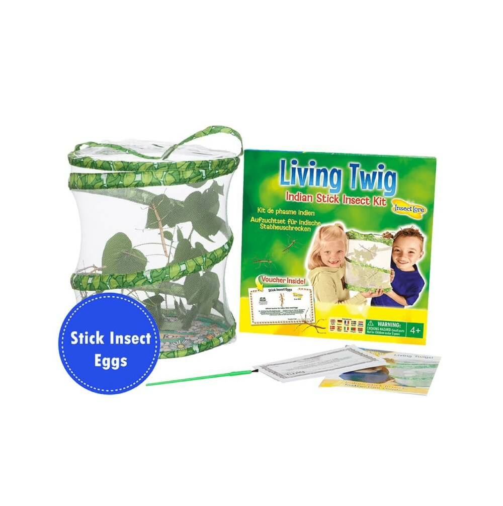 Kit d'élevage de phasmes | Truffaut