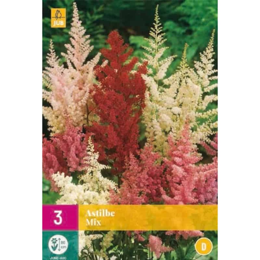 3 bulbes astilbes mix | Truffaut