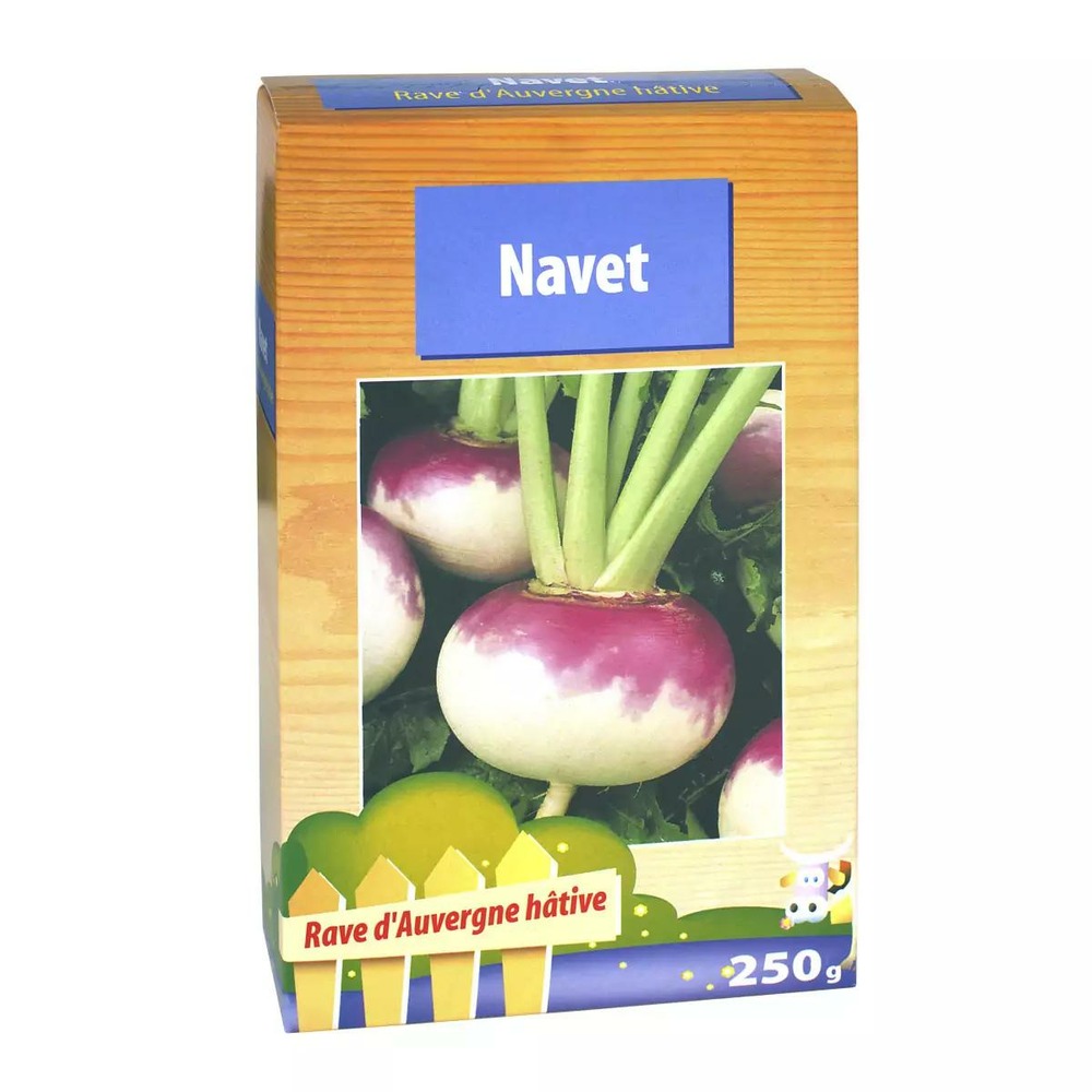 Graines de navet rave d'auvergne hatif - boite de 250 grs | Truffaut