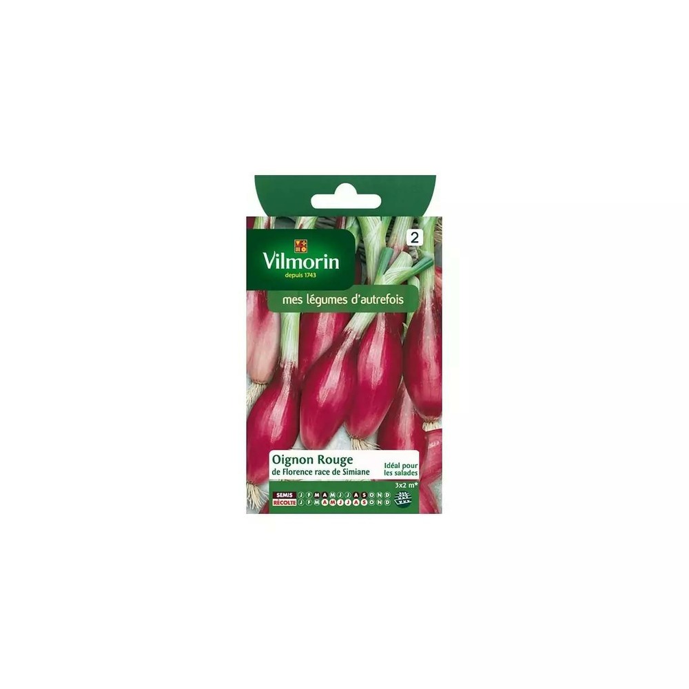 Sachet graines oignon rouge de florence race de simiane | Truffaut