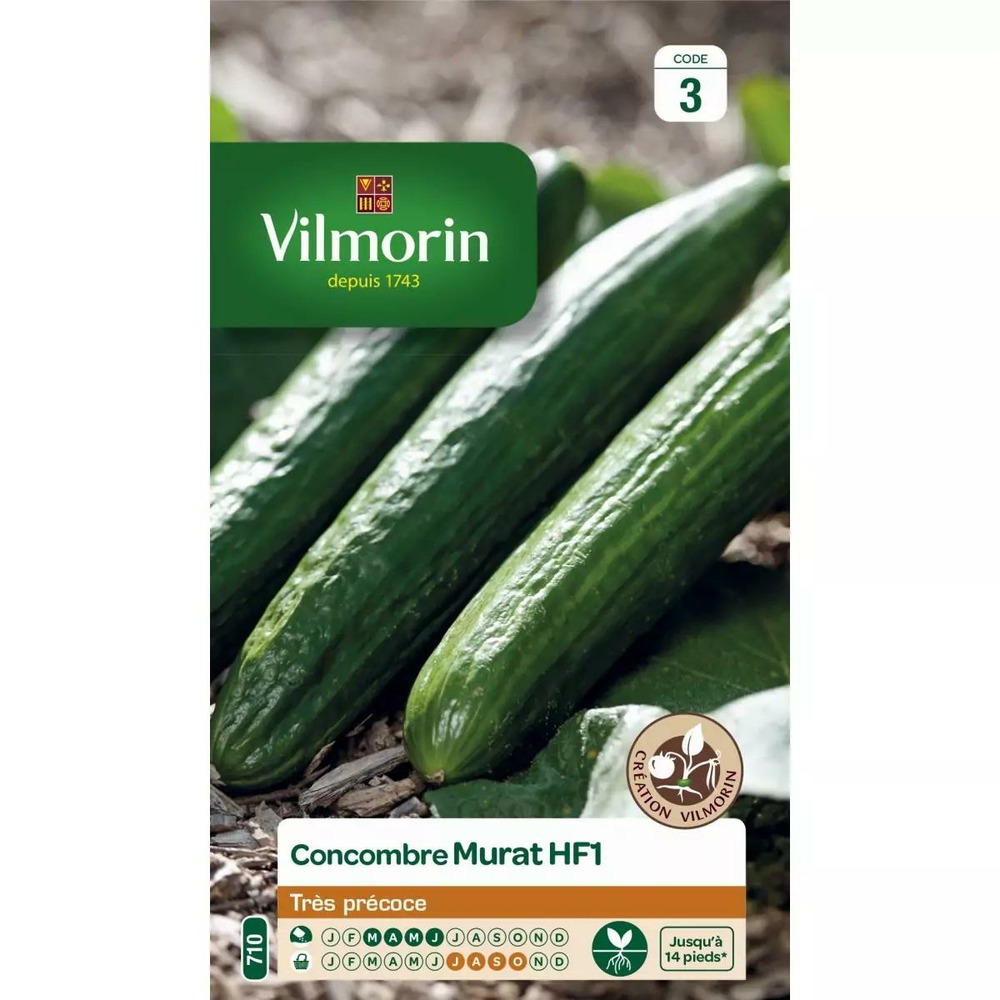 Découvrez le concombre hybride, un légume innovant