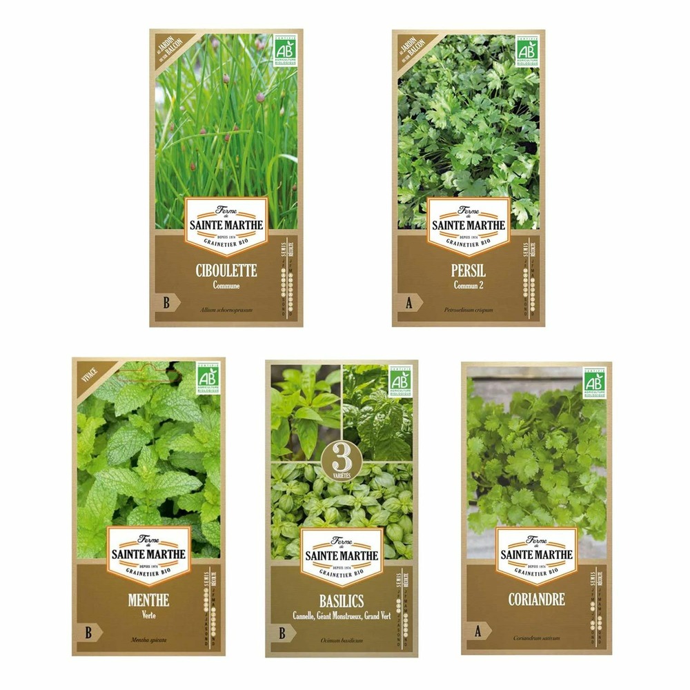 6 sachets de graines à semer - aromates bio | Truffaut