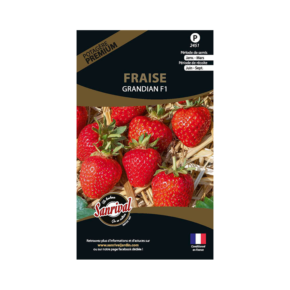Graines potagères premium fraise grandian | Truffaut