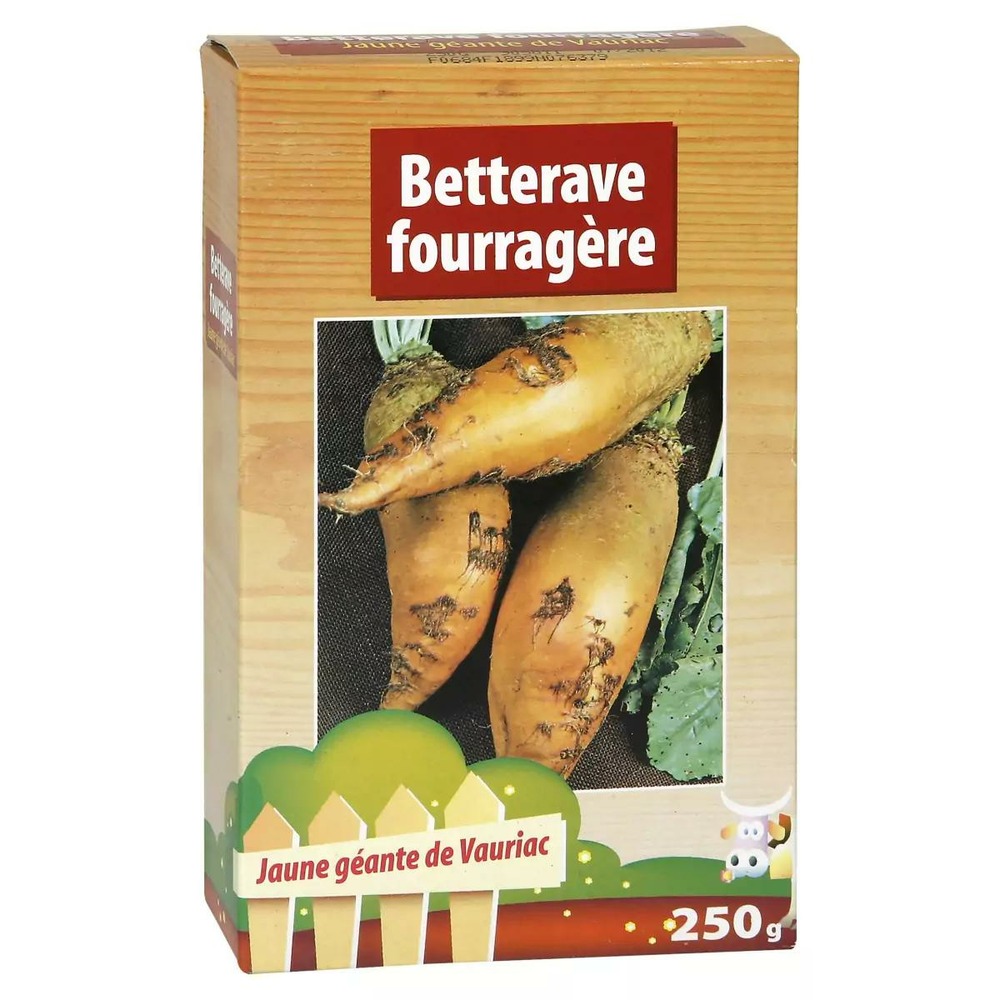 Graines de betterave fourragère jaune géante de vauriac - boite de 250 ...