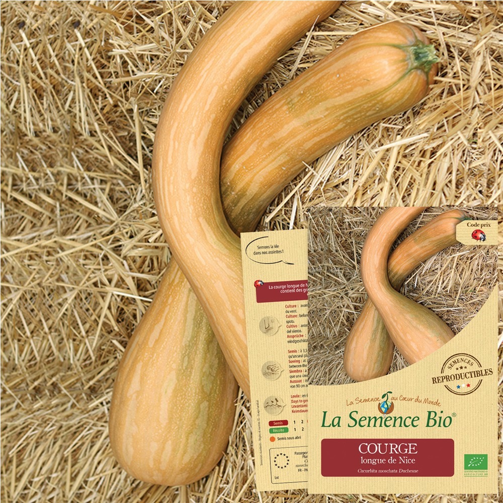 Courge longue de nice bio | Truffaut
