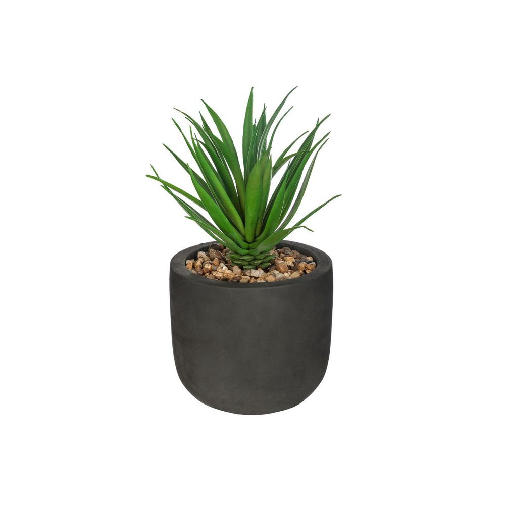 Truffaut Plante Verte