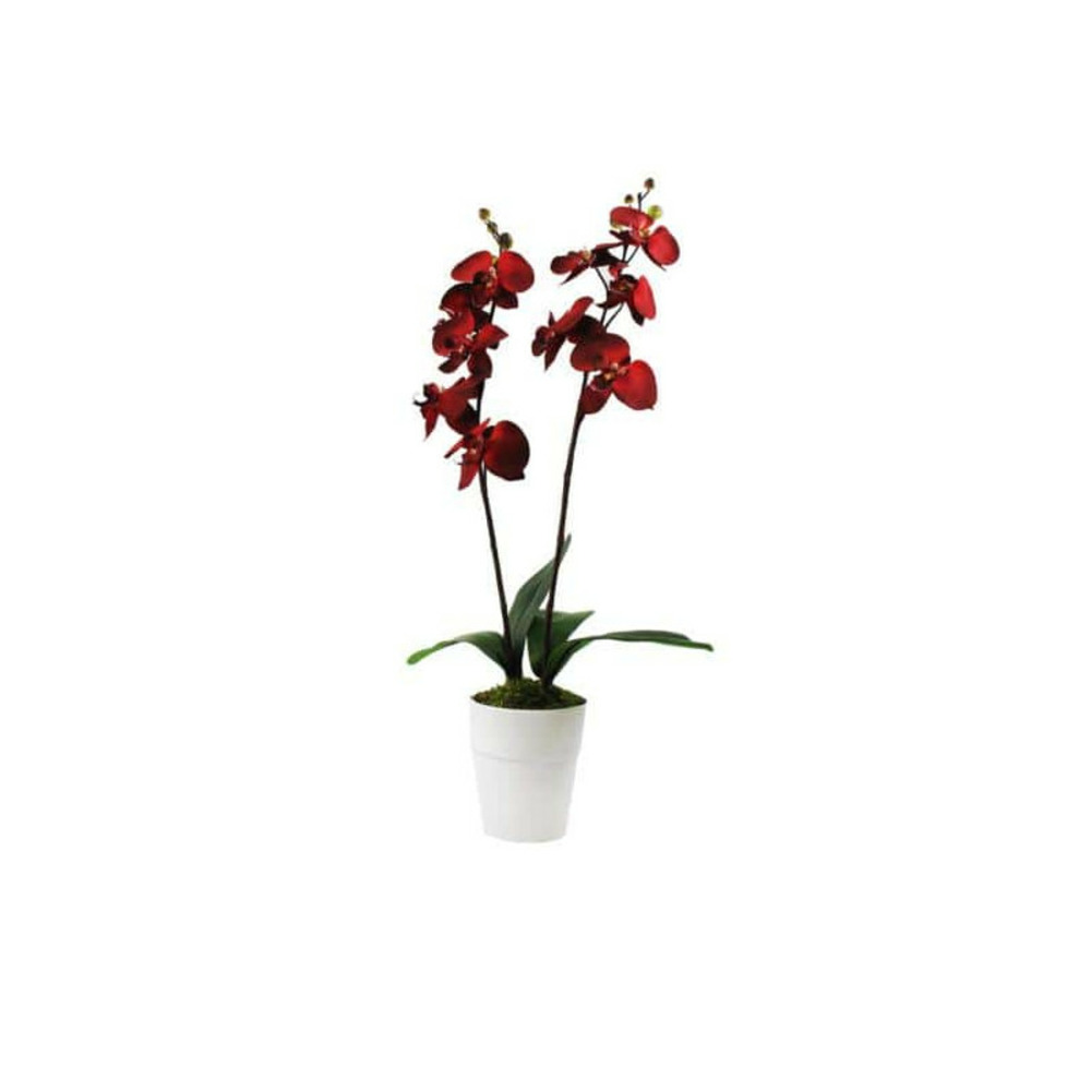 Composition artificielle orchidée rouge 2 tiges 70cm | Truffaut