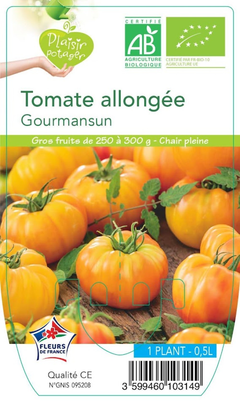 Tomate gourmansun -plant ab en pot 0.5 l-plante du jardin | Truffaut