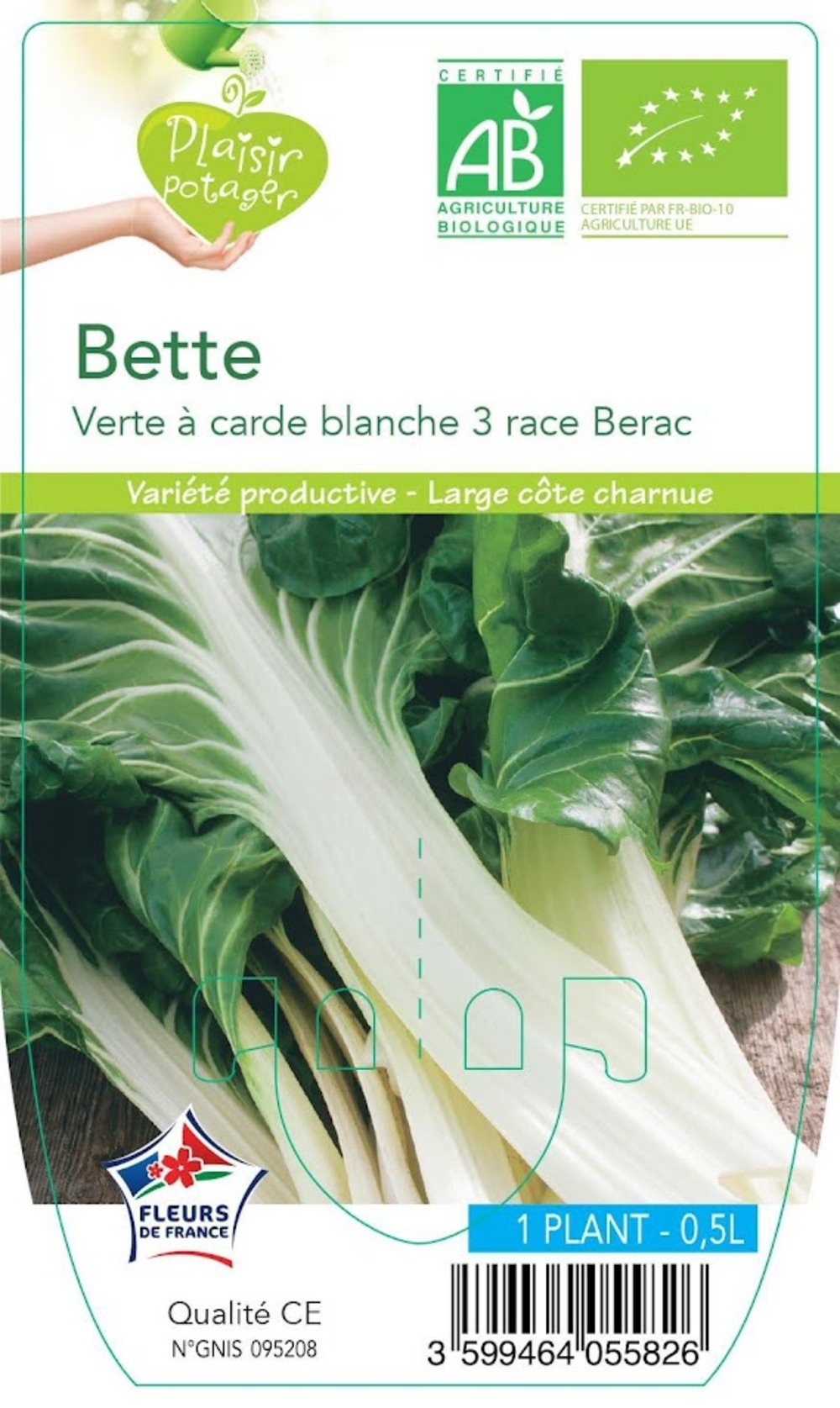 Bette poirée verte à carde blanche -plant ab en pot 0.5 l- plante du ...