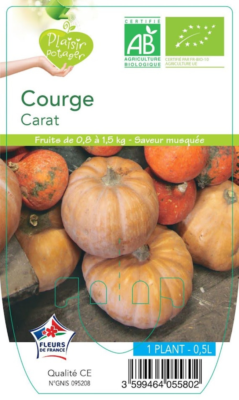 Courge carat -plant ab en pot 0.5 l- plante du jardin | Truffaut