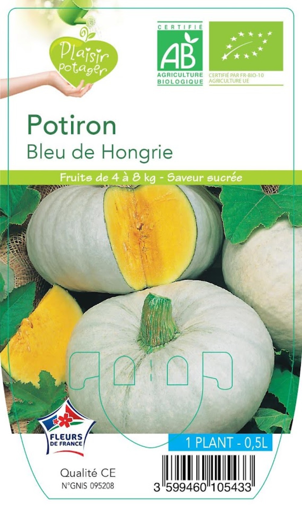 Courge potiron bleu de hongrie -plant ab en pot 0.5 l- plante du jardin ...
